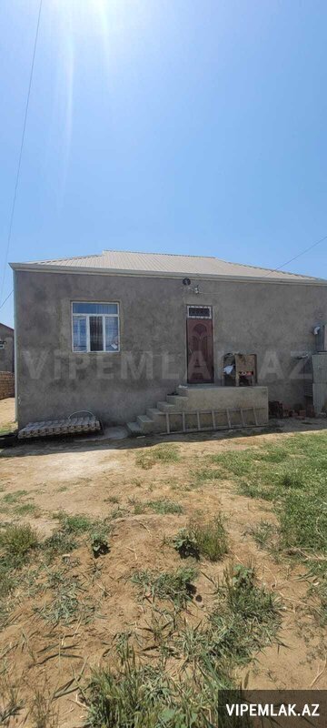 Mastaga Lehis baglari - VIPEMLAK.AZ